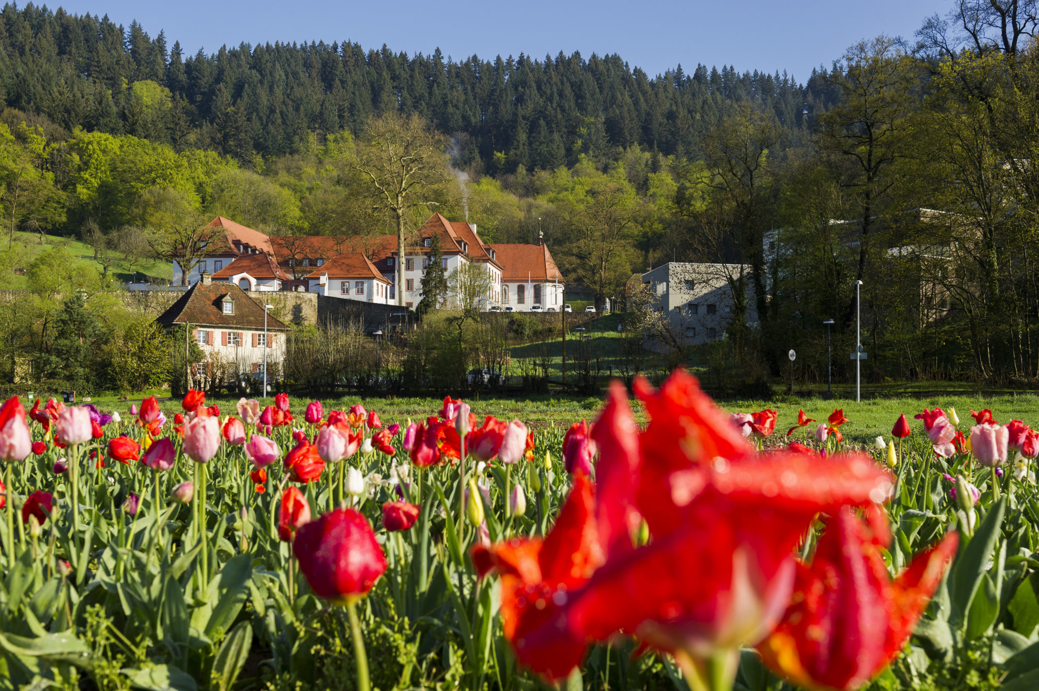 Camillo Blomberg - UWC Robert Bosch College 2020-22 · UWC Deutschland